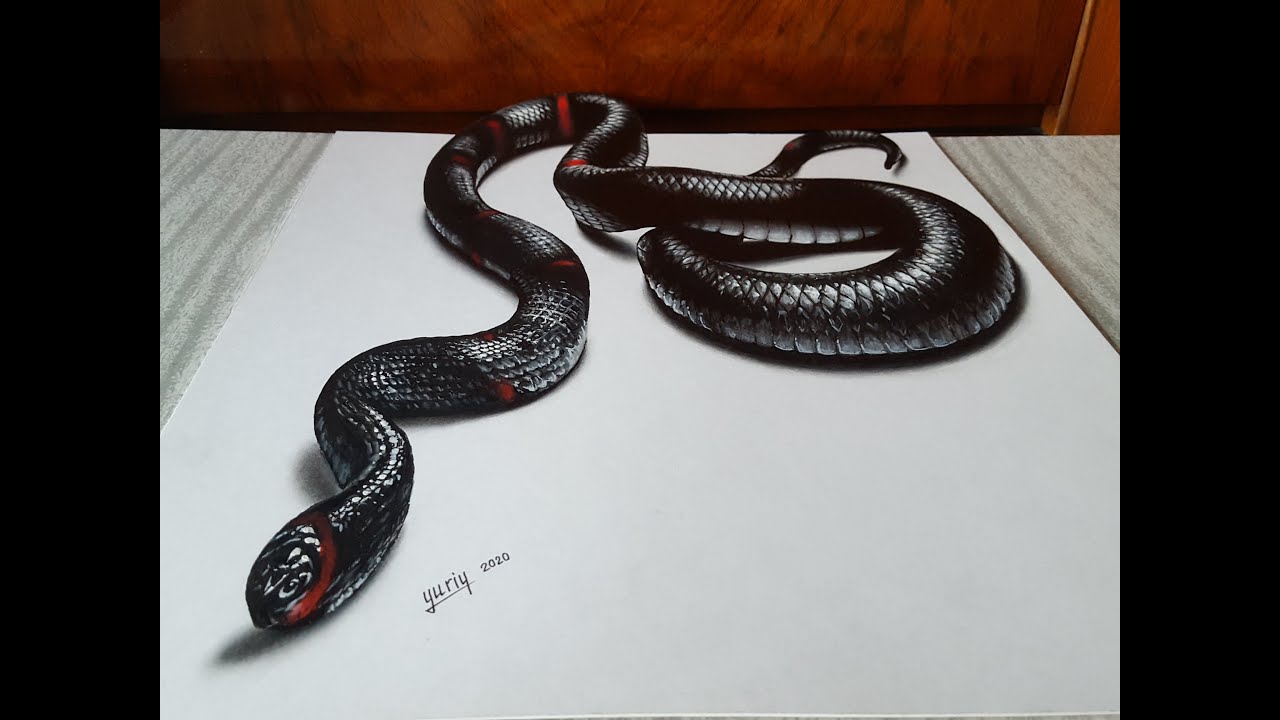 3D drawing of a snake in hyperrealism. - YouTube