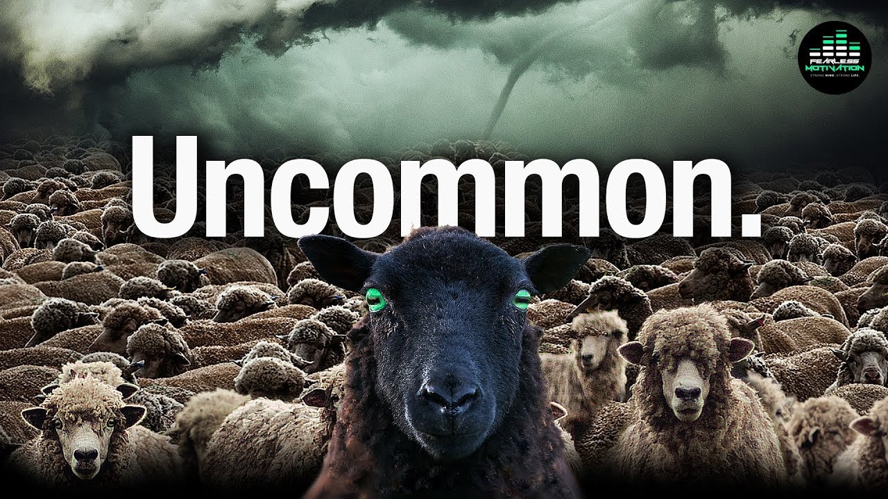Uncommon - Official Music Video - Fearless Motivation - YouTube