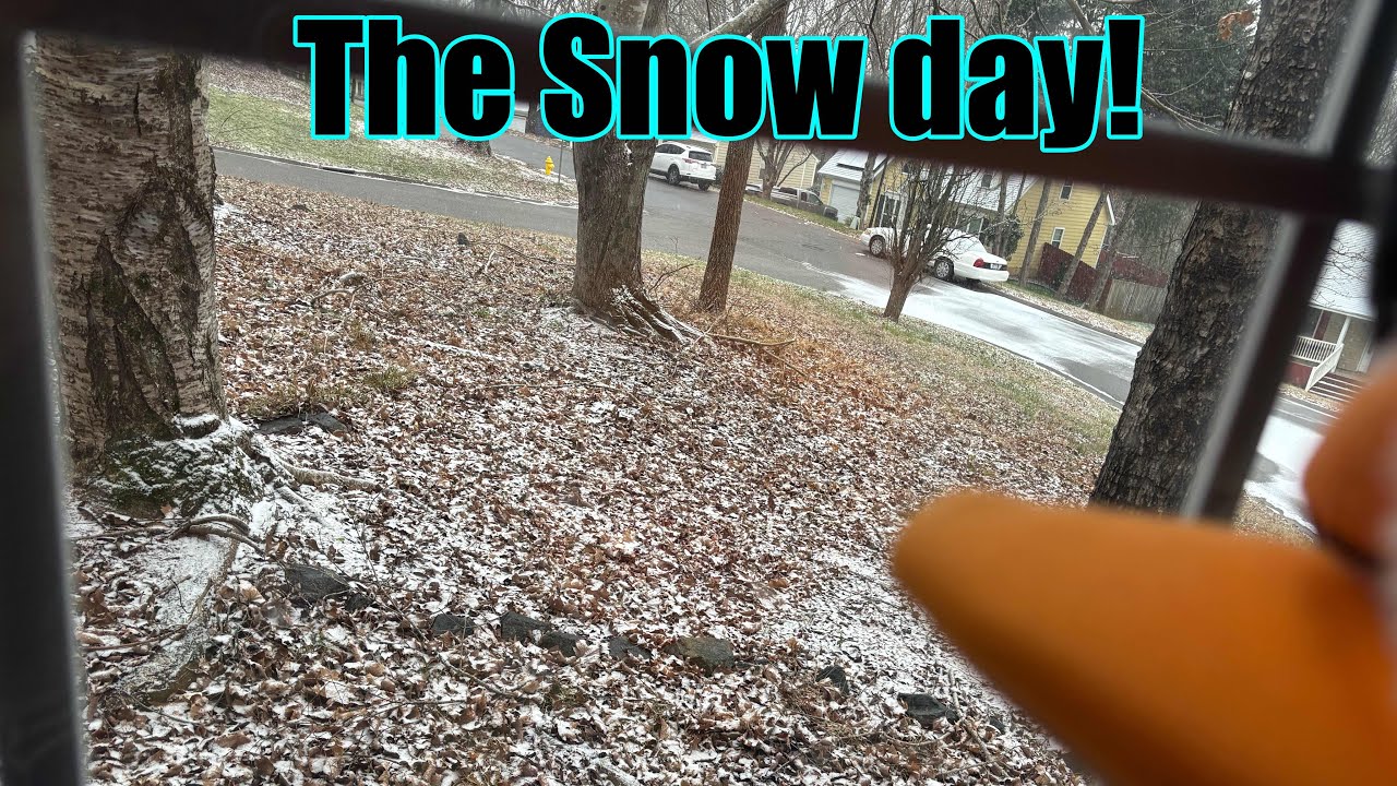 The snow day! - YouTube