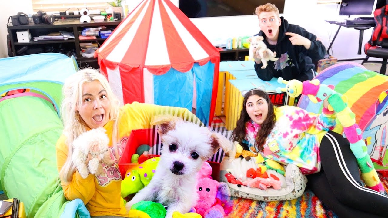 BEST PUPPY PALACE WINS $10,000! - YouTube