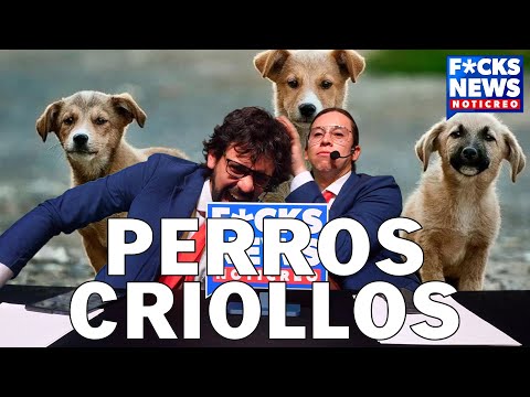 F*cksNews Bilbao: Perros Criollos