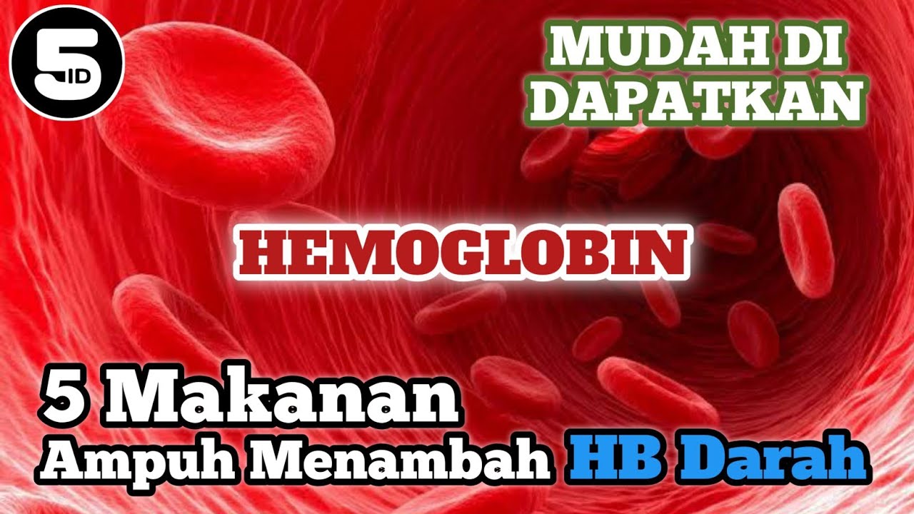 5 Makanan Ampuh Menambah HB Darah (Hemoglobin) - YouTube