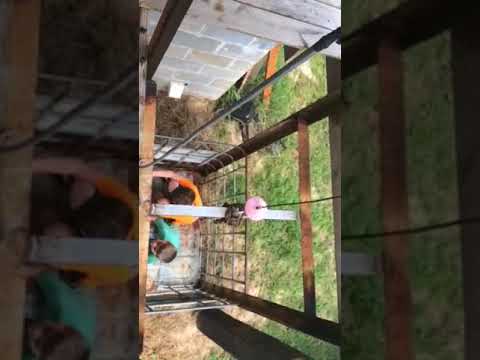 Redneck Elevator - YouTube