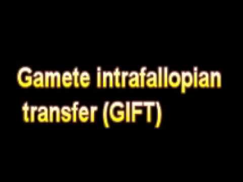 What Is The Definition Of Gamete intrafallopian transfer GIFT - Medical ...