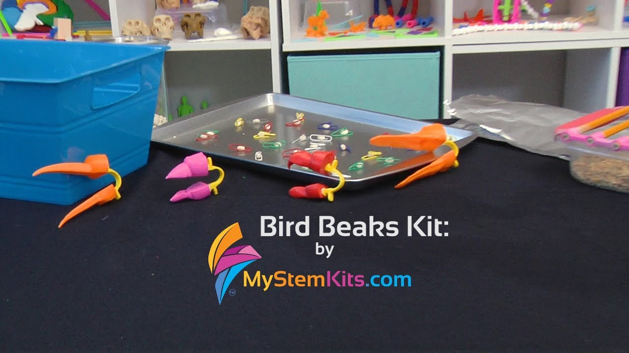 Bird Beaks Kit - YouTube