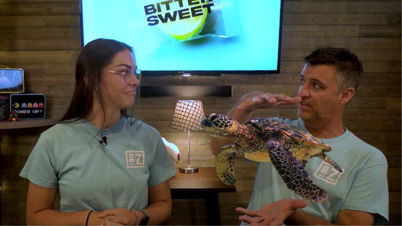 Bittersweet: Day 5! - YouTube