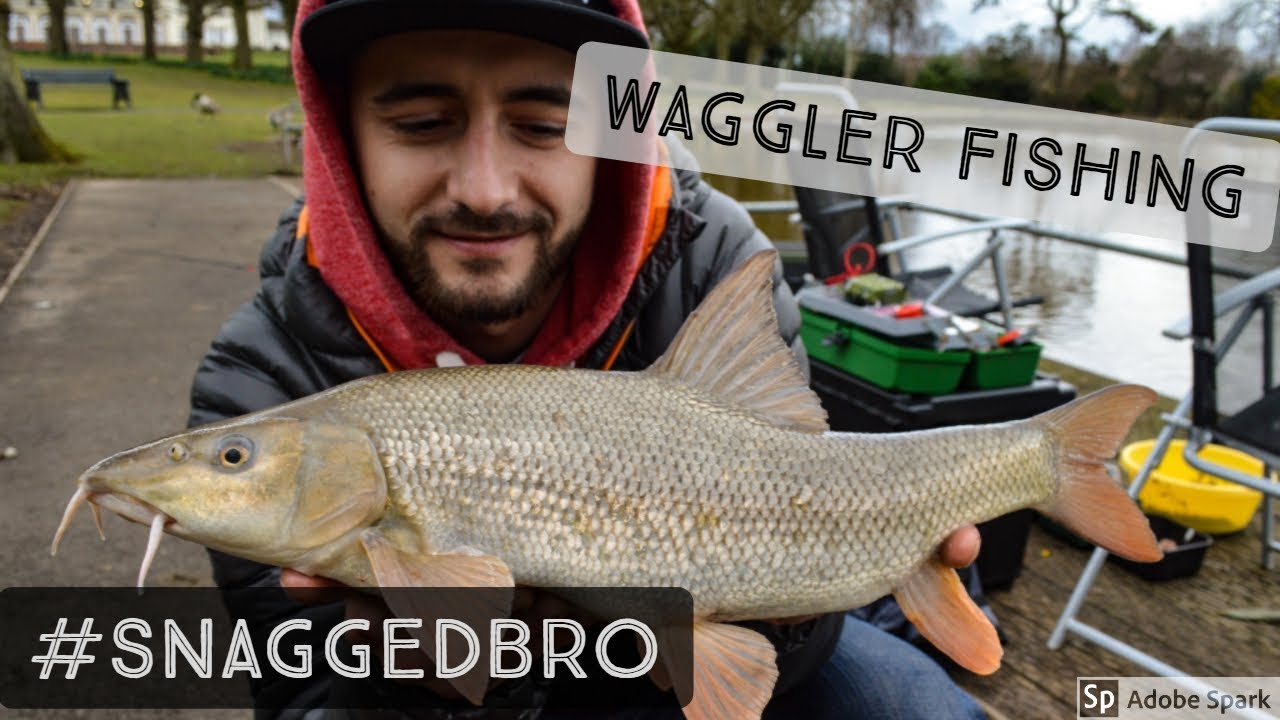 Waggler Float Fishing - YouTube