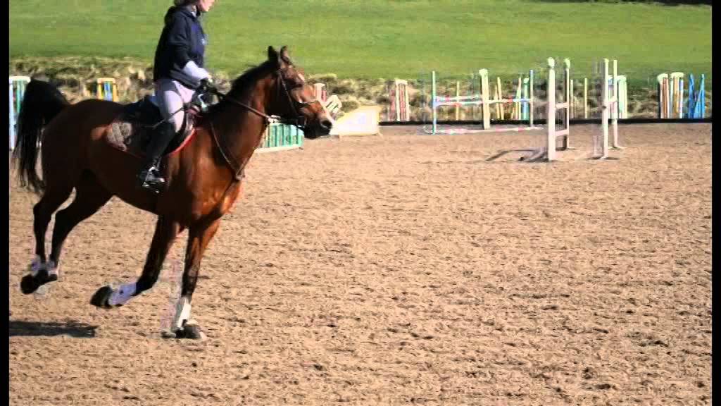 Nick Gauntlett clinic - YouTube