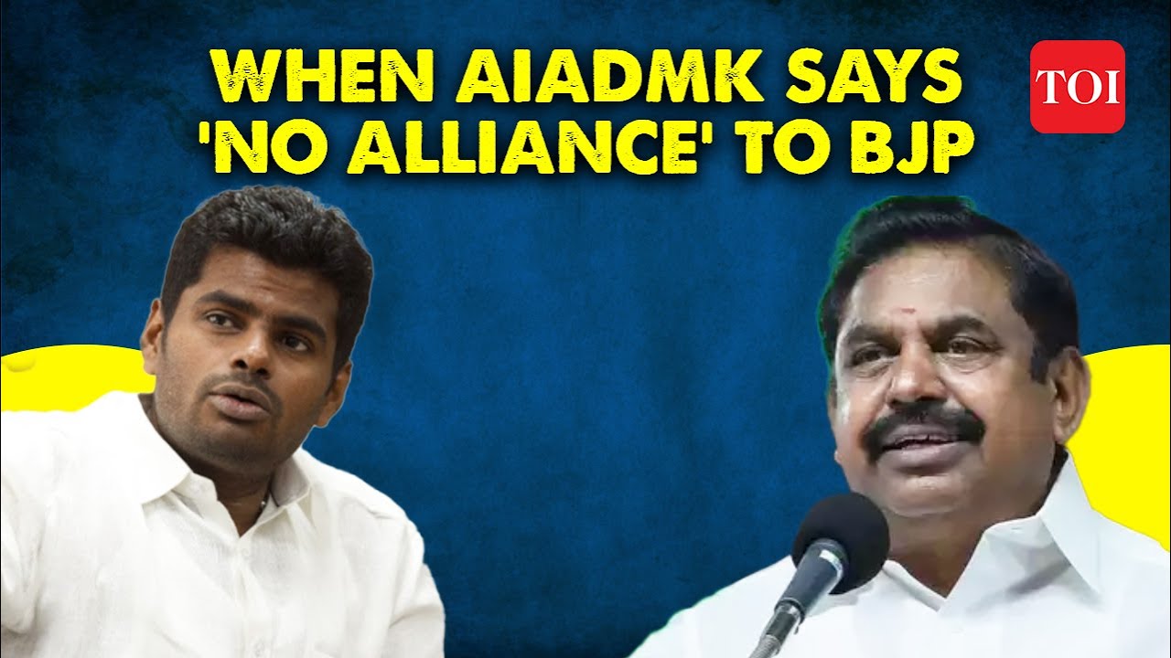What's the reason for the AIADMK-BJP split: Annamalai or Lok Sabha seat ...