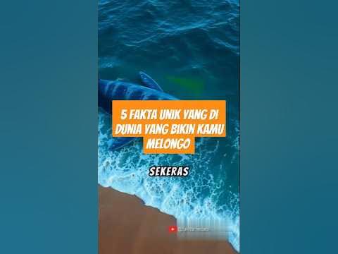 5 fakta unik yang di dunia yang bikin kamu melongo #inspirasi #faktaunik #sejarahdunia - YouTube