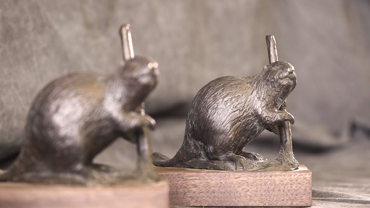 Congratulations to the 2019 Bronze Beaver Award Honorees - YouTube
