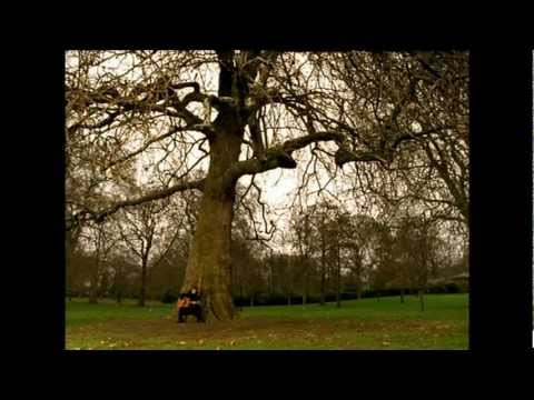 Oasis - Songbird (Official Music Video) - YouTube