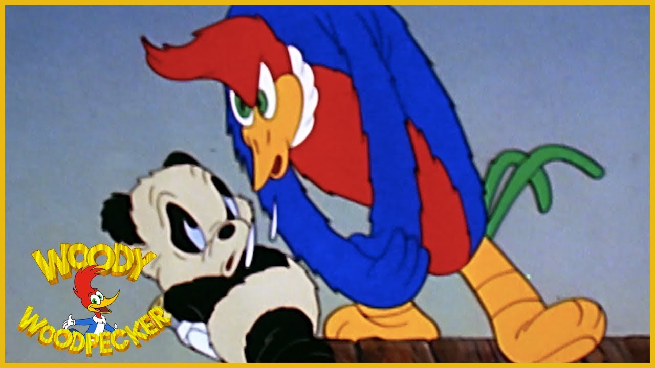 Woody Woodpecker 2018 | Bird Gone Wild: The History of Walter Lantz at ...