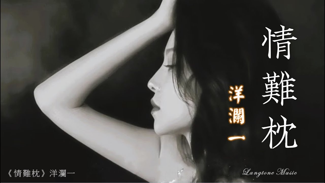 情難枕 Qing nan zhen 洋瀾一 Yang Lan Yi #動態歌詞 pinyin/Lyrics Music