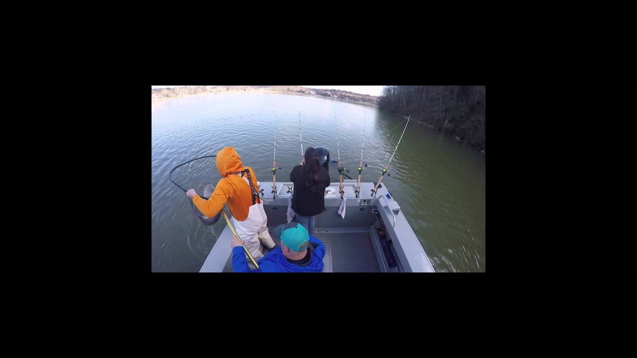 Warrior Cat Rod Review - YouTube