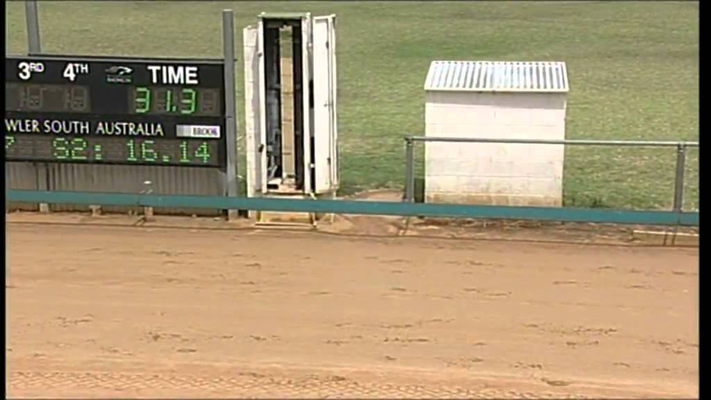 Gawler-22022013-Race-7 - YouTube