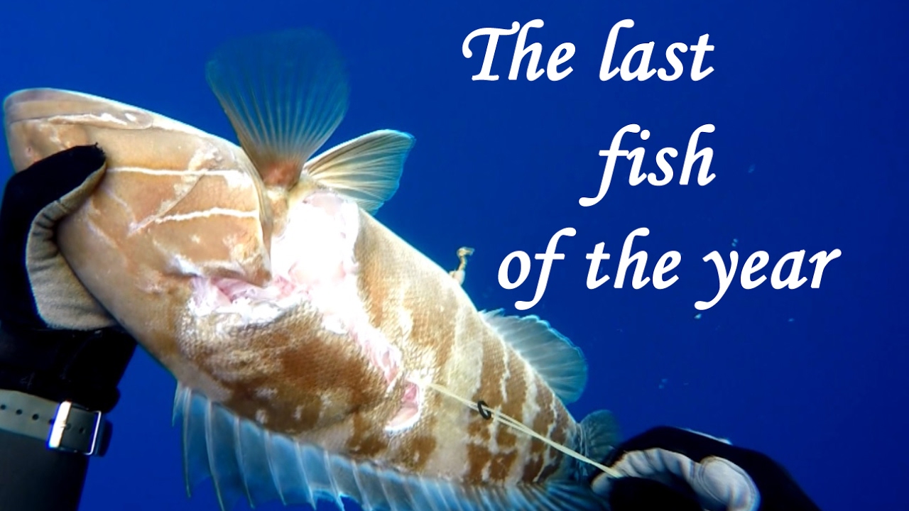 Last fish of the year....Το τελευταίο ψάρι του έτους - YouTube