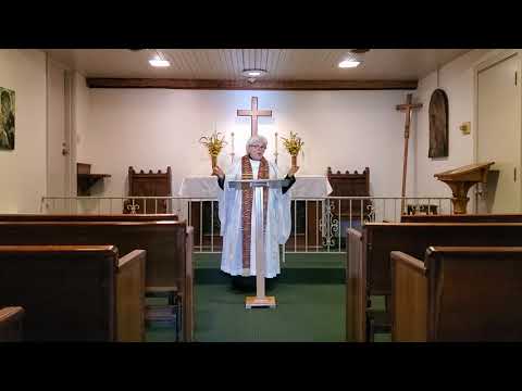 Rev. Thornton's homily - August 16, 2020 - YouTube