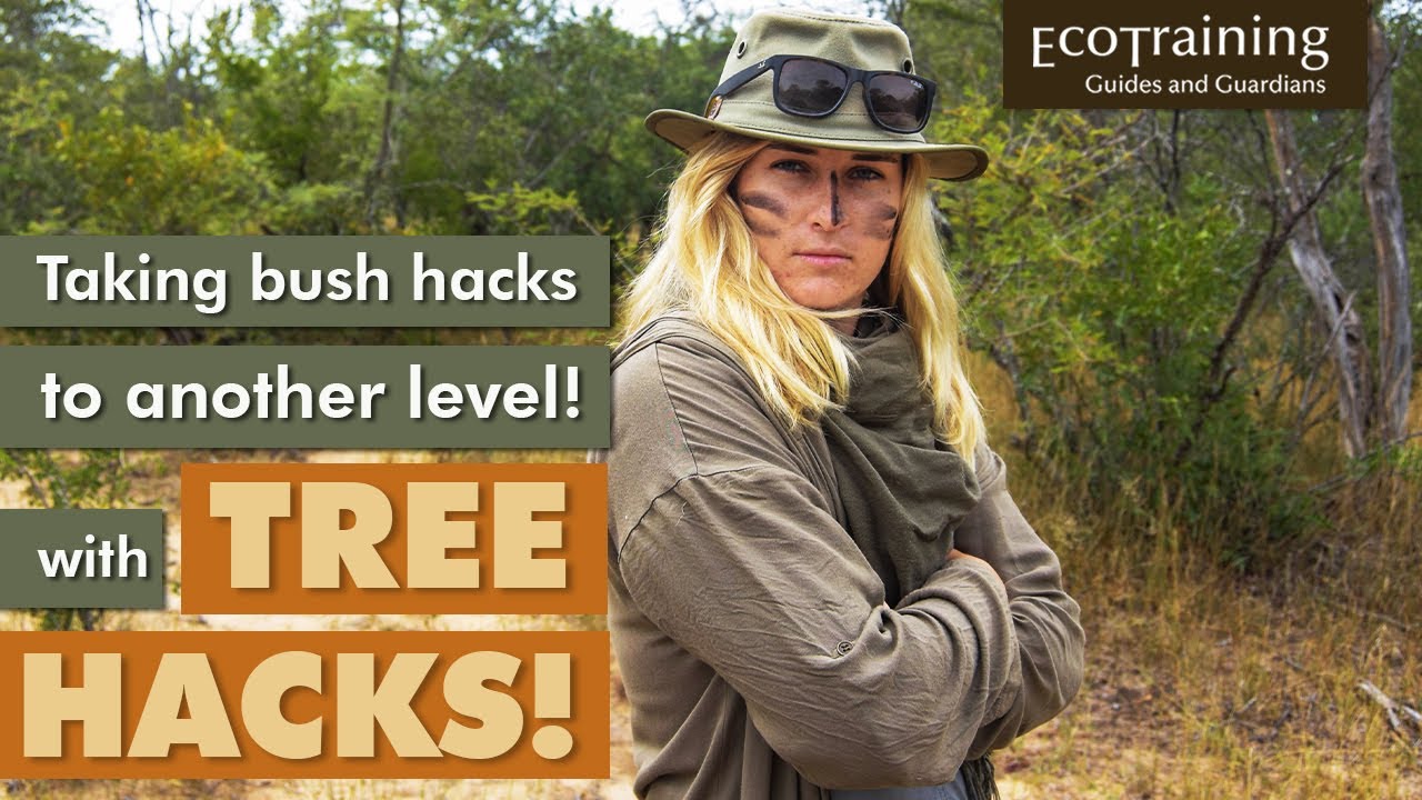 Bush Hacks | aka Tree Hacks - YouTube