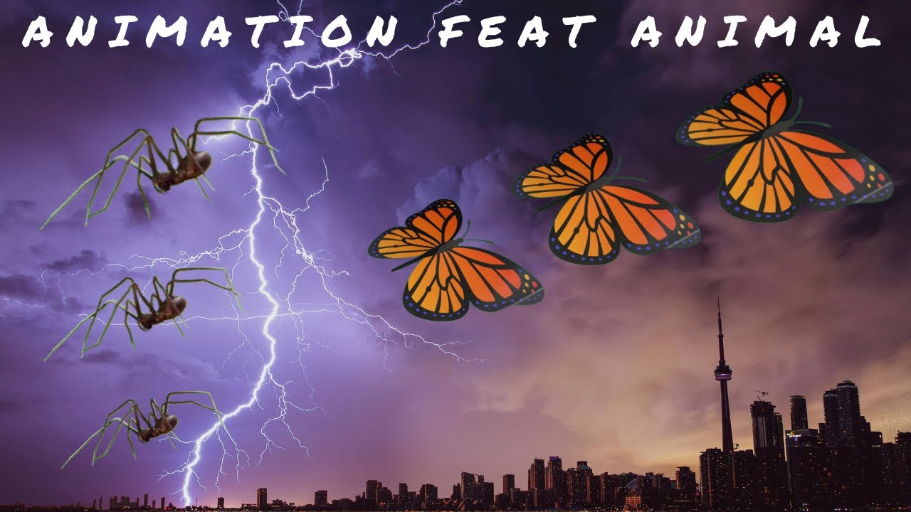 Animation feat Animal, A Great Way to Pass the Time - YouTube