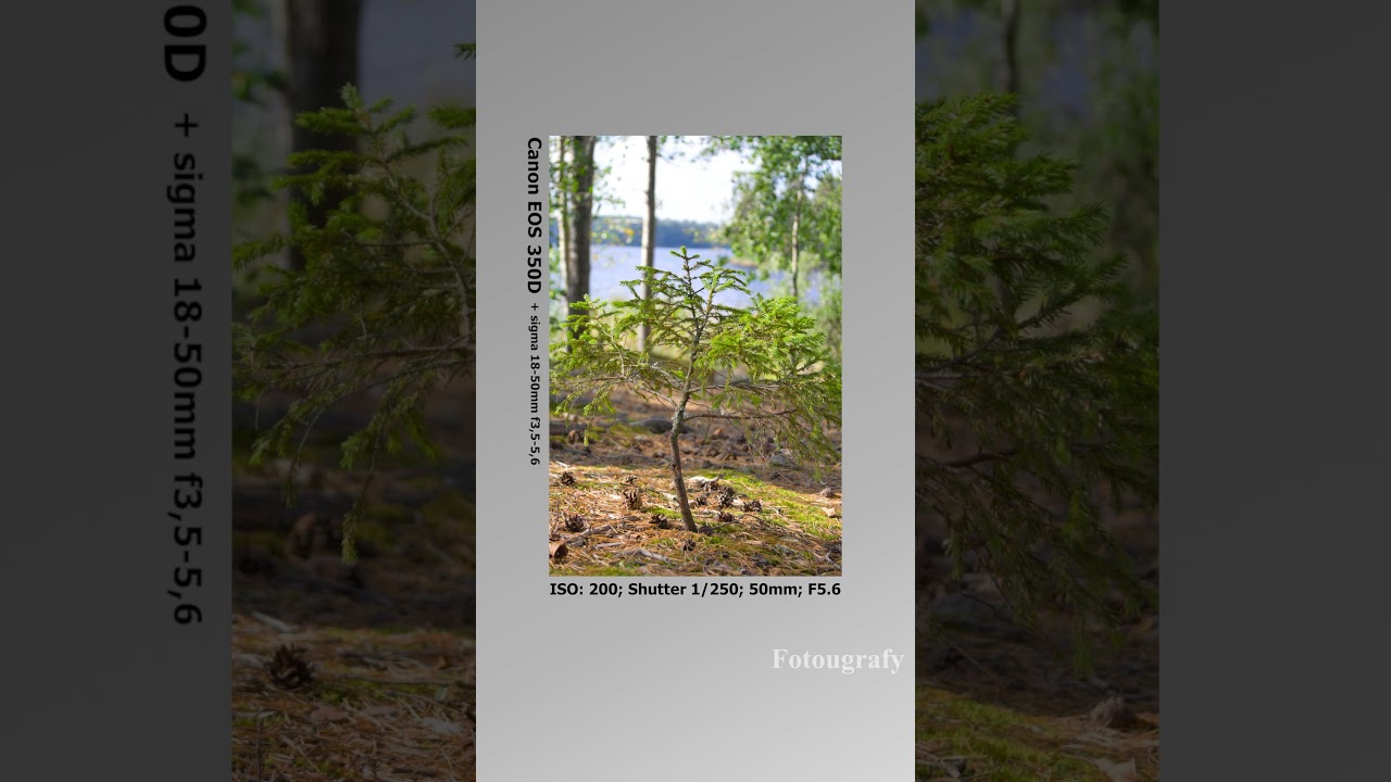 Image samples of CANON EOS 350d...