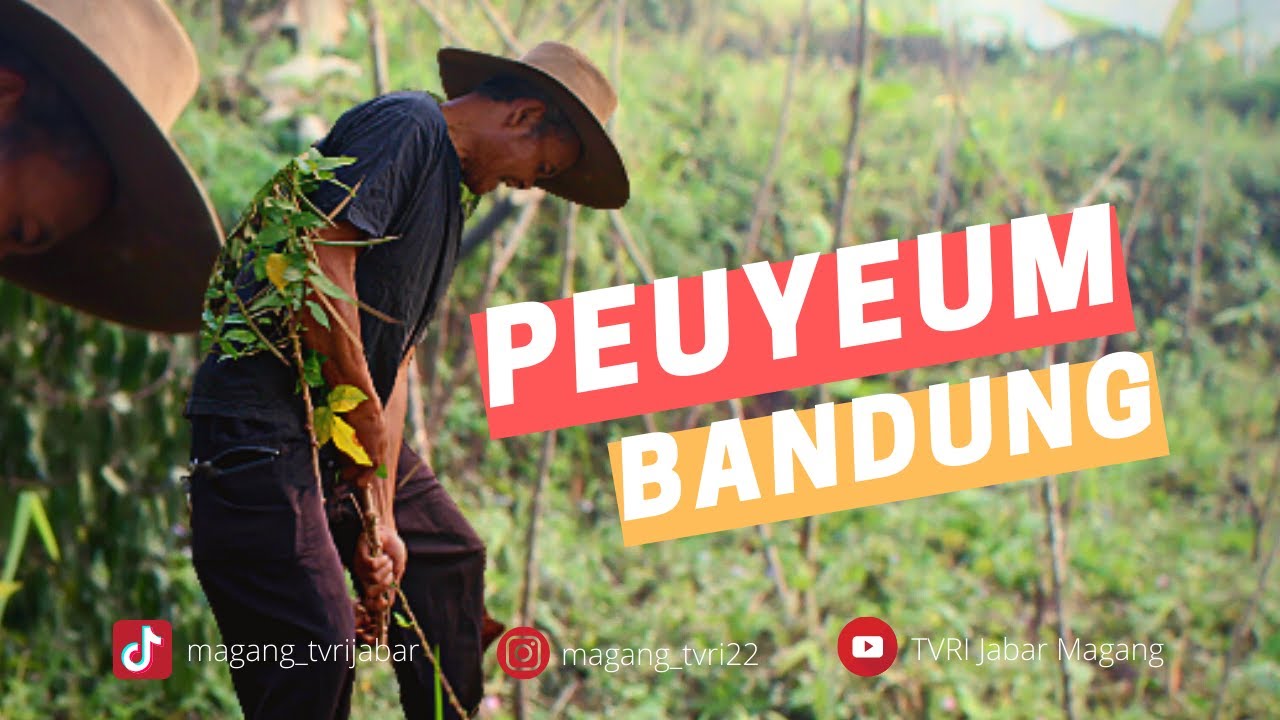 PEUYEUM BANDUNG PAK DADAN - YouTube