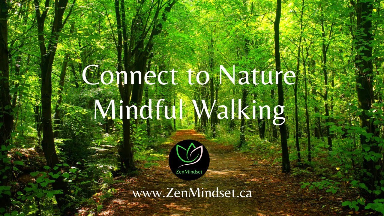 Connect to Nature, Mindful Walking - YouTube