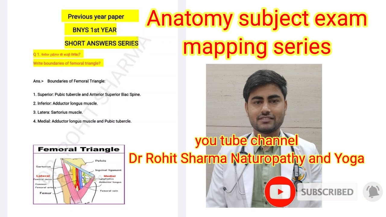 Anatomy exam mapping series - YouTube