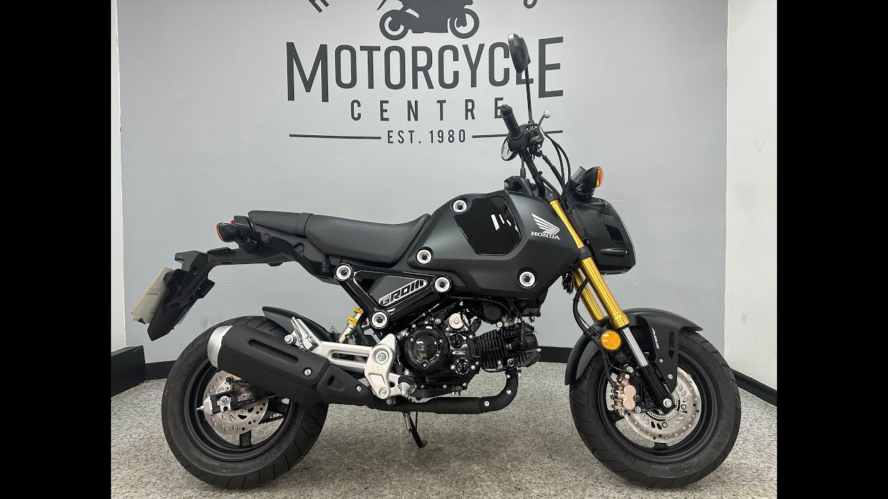 Honda MSX125 For Sale At Hastings Motorcycle Centre - YouTube