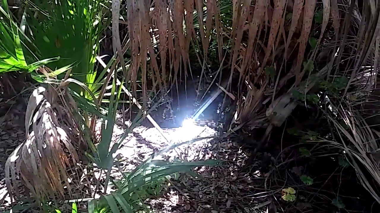 January 8, 2016 - YouTube