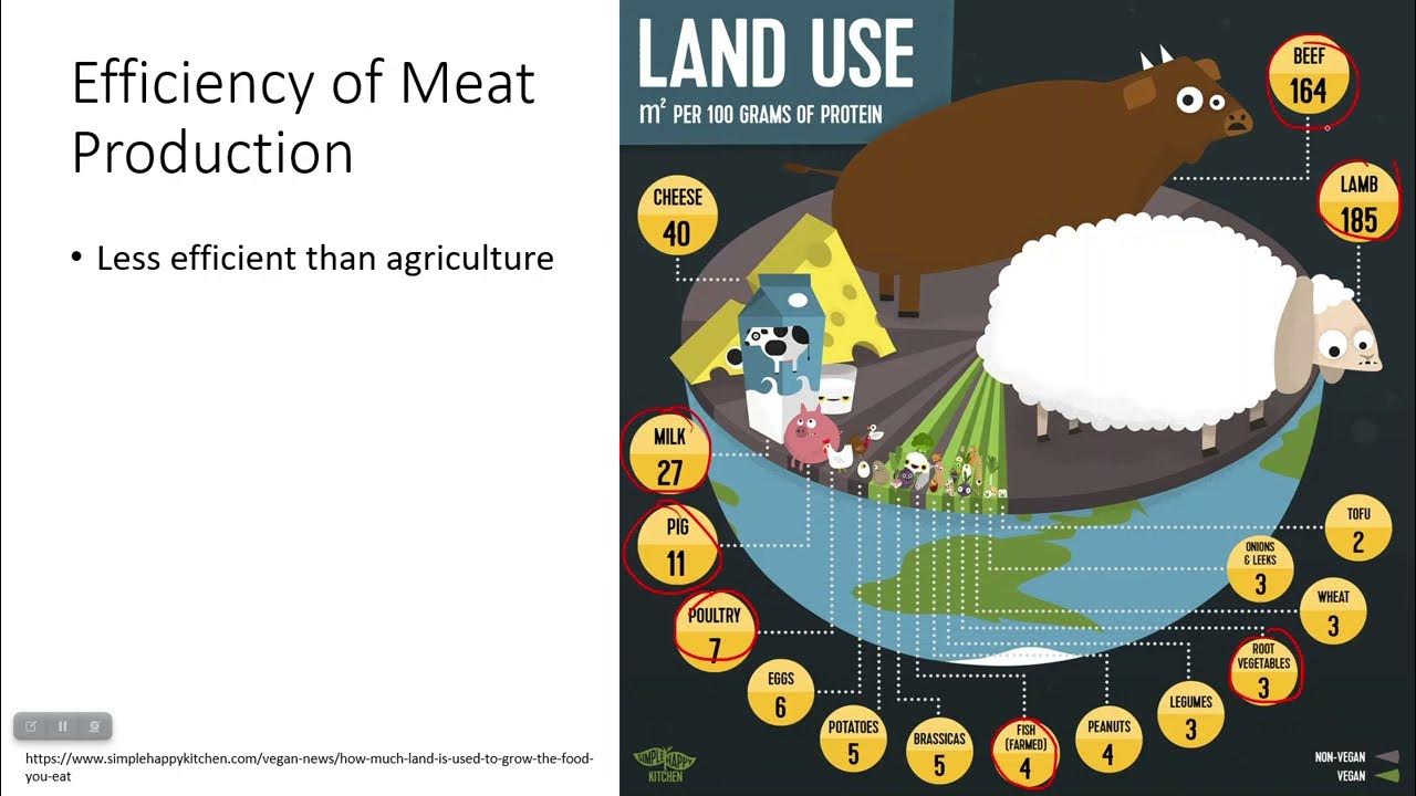 5.7 Meat Production Methods - YouTube