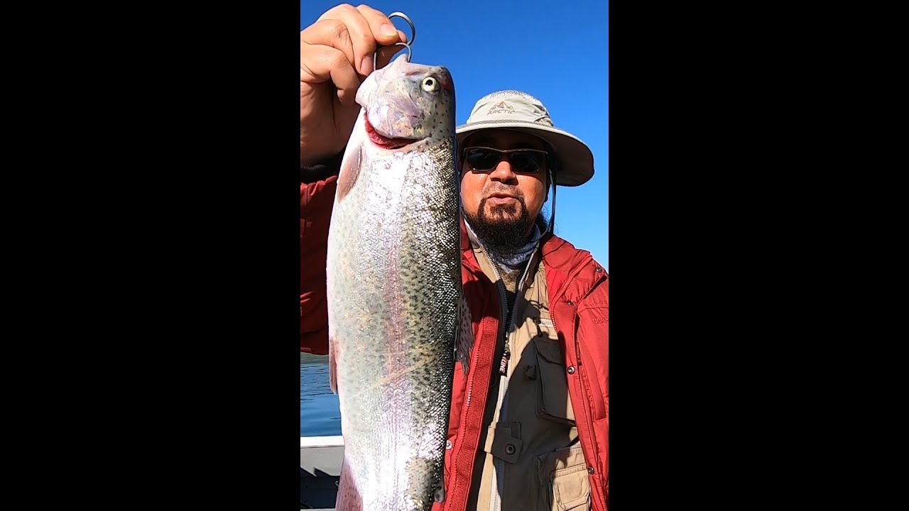 STROUT ! Stripers & Trout Fishing Los Vaqueros Reservoir California ...
