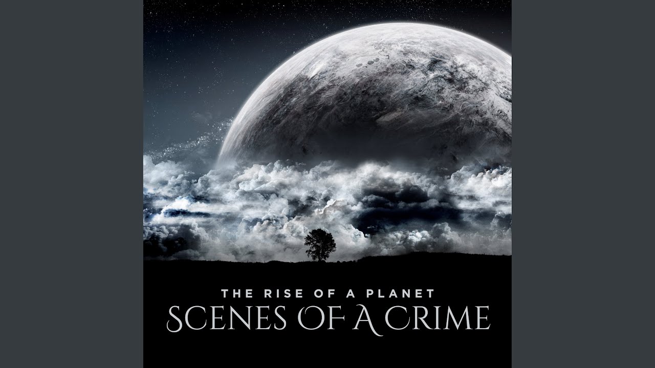 Fireflies (Cover) - YouTube