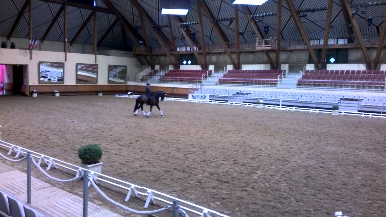 1ères rencontres de l'équitation de tradition française : Alizée ...
