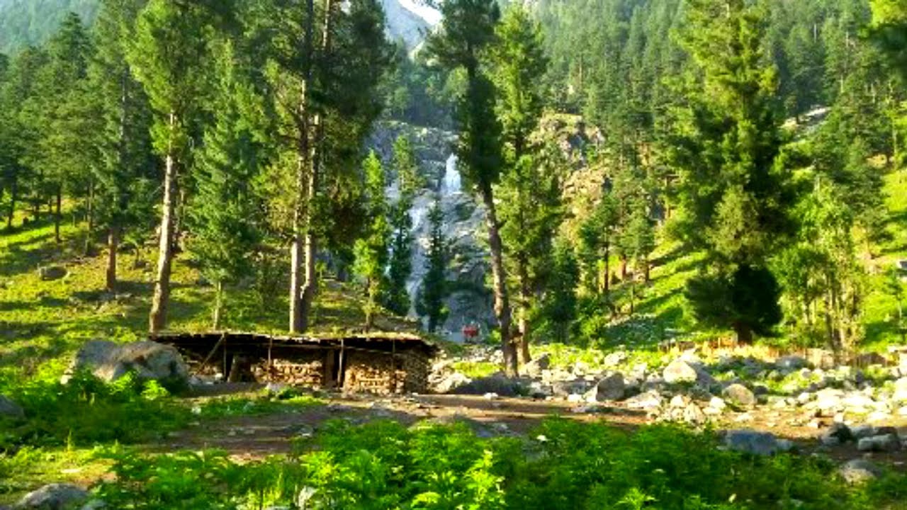 Kumra Upper Dir | Kumrat Valley | Northern Beauty Of | Kpk Pakistan ...