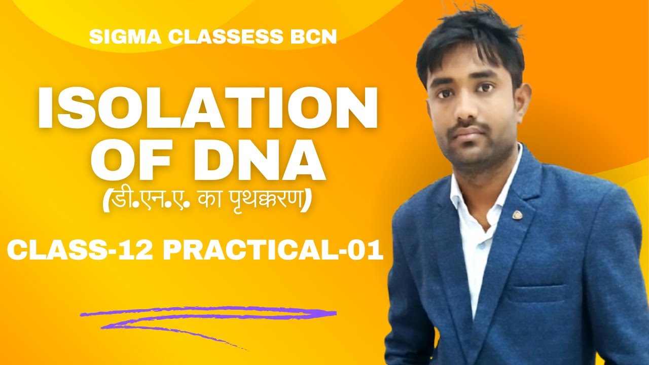 Isolation Of DNA( डी.एन.ए. पृथक्करण ) Class-12 Practical - YouTube