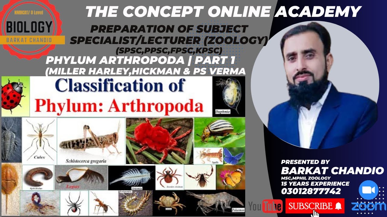 Arthropoda | Phylum Arthropoda | General Phylum Arthropoda Characters ...