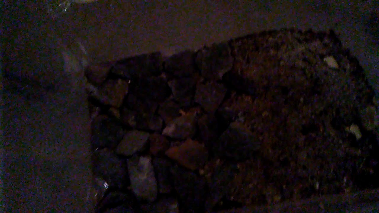 DIY terrarium/ecosphere with water and land - YouTube