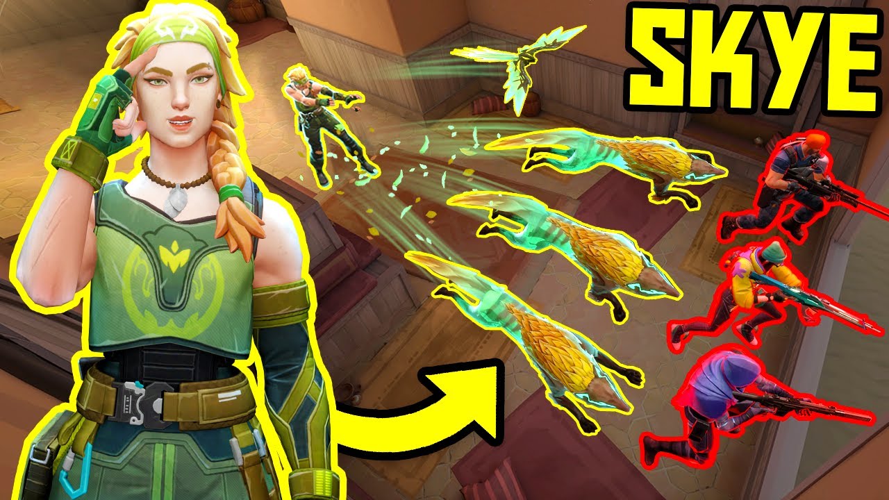 THE POWER OF SKYE - Best Tricks & 200 IQ Plays - VALORANT - YouTube