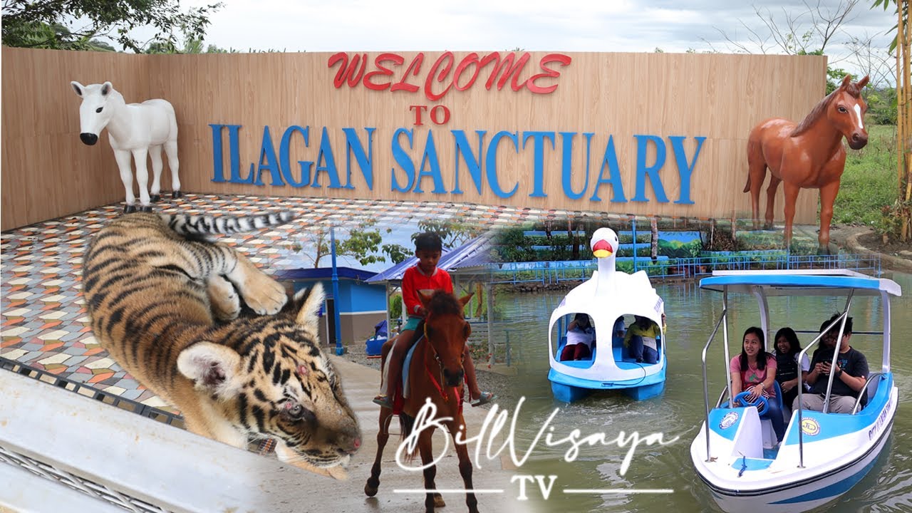 Ilagan Sanctuary sa Isabela, muling binuksan para sa mga bata - YouTube