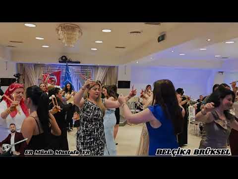 BELÇİKA BRÜKSEL DÜĞÜN