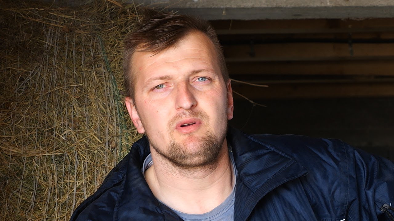 Hamid potrebitim besplatno prevozi donirane životinje - YouTube