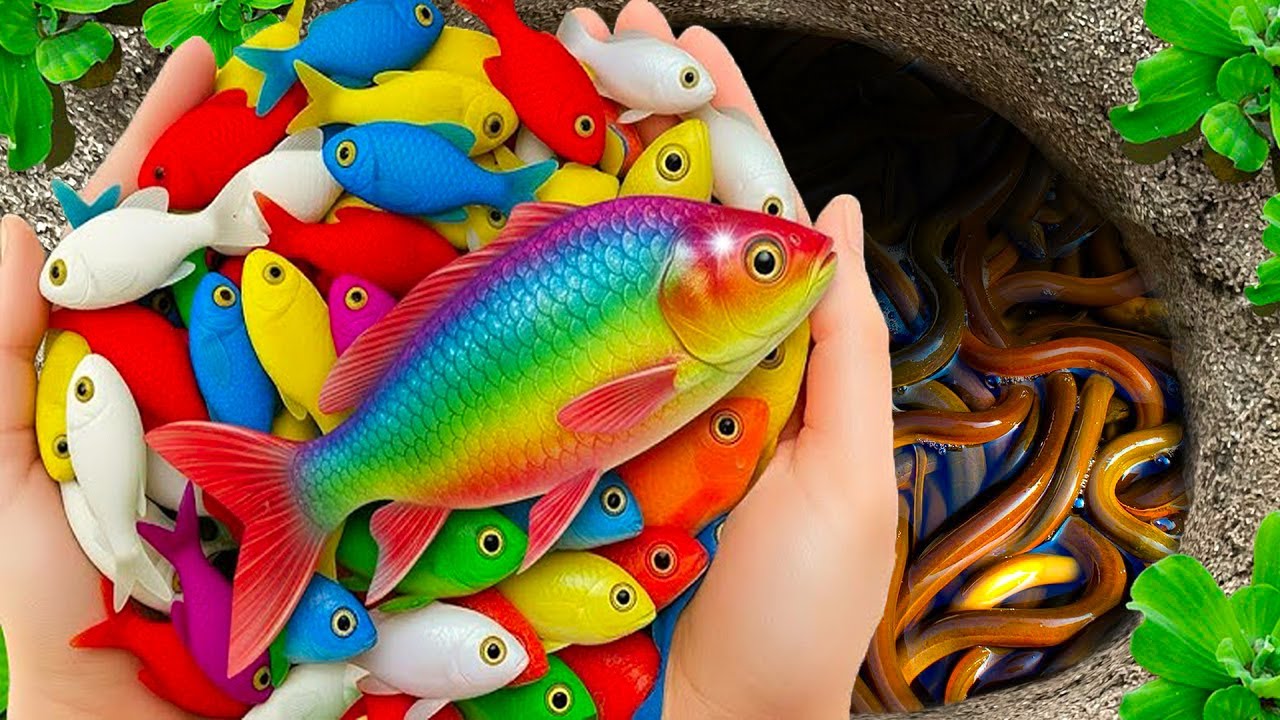 Catch beautiful fish and cute animals: ducklings, baby lizards, turtles ...