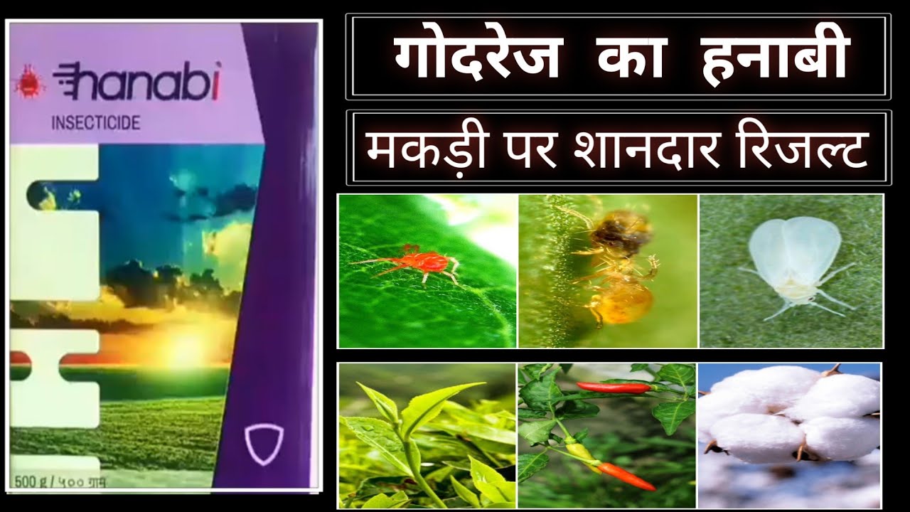 hanabi insecticide/ pyridaben 20% wp /Godrej hanabi insecticide - YouTube
