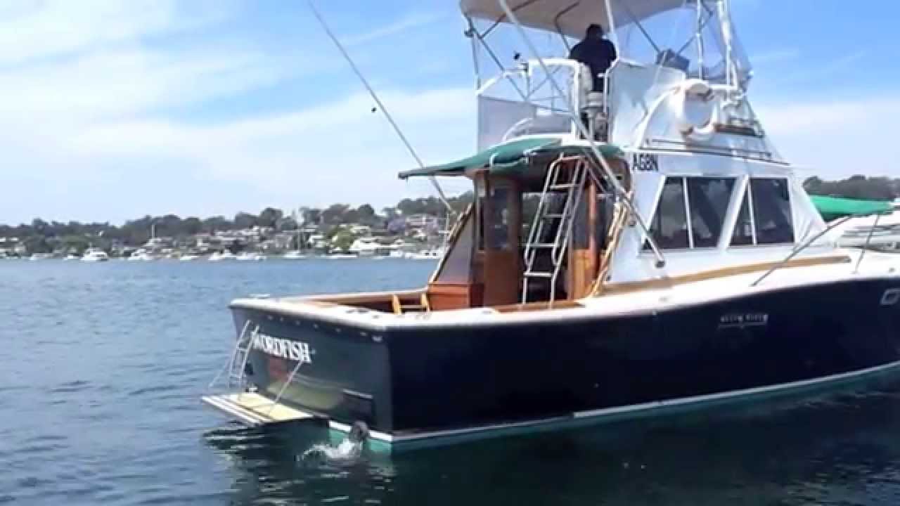 Vindex 40 Flybridge Cruiser - Walkthrough - YouTube