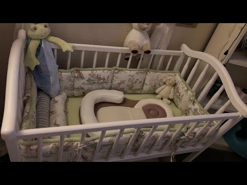 Surprise Reborn Baby Guest   Who Could It Be?