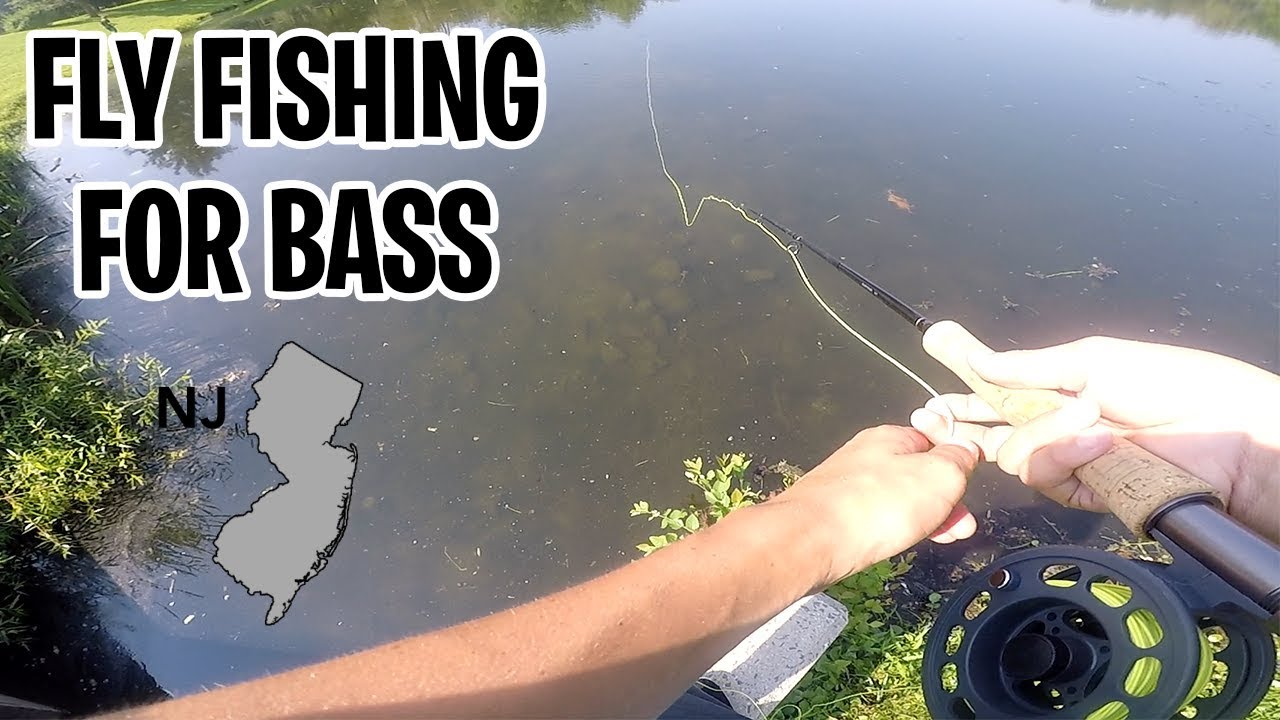 Fly Fishing For New Jersey Bass - YouTube