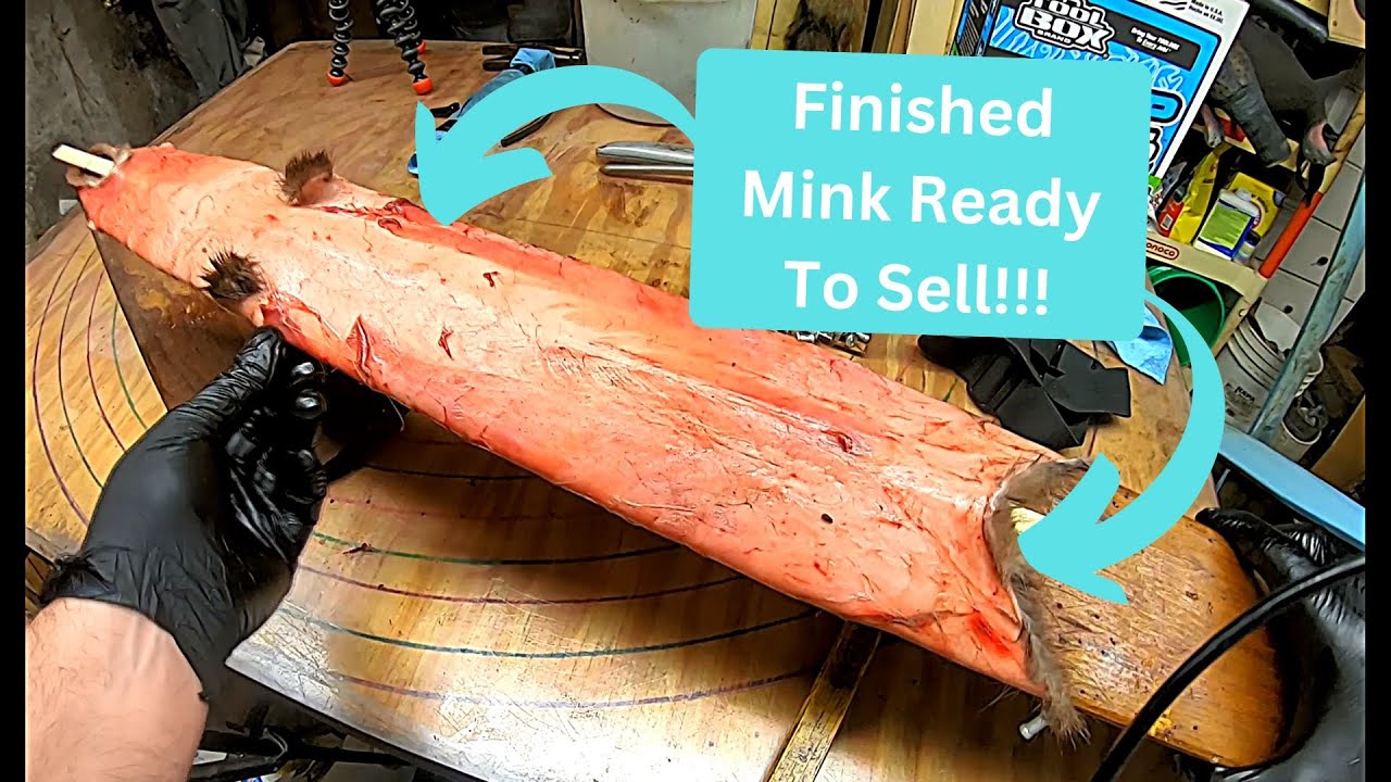 Mink Fleshing and Boarding - In The Fur Shed Series - YouTube