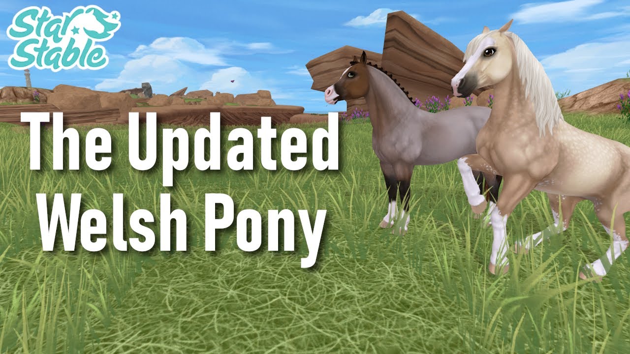 The Updated Welsh Pony | SSO Update - YouTube