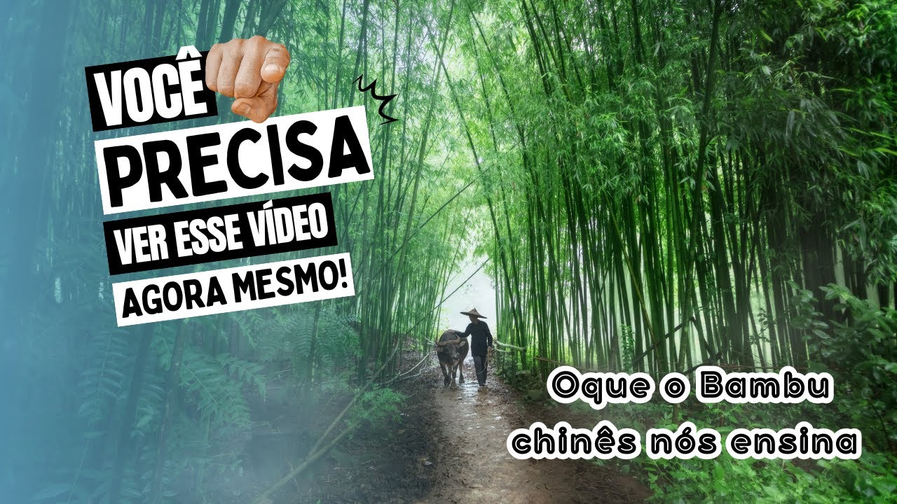 O Segredo do Bambu Chinês: O Poder Invisível que Pode Transformar Sua ...